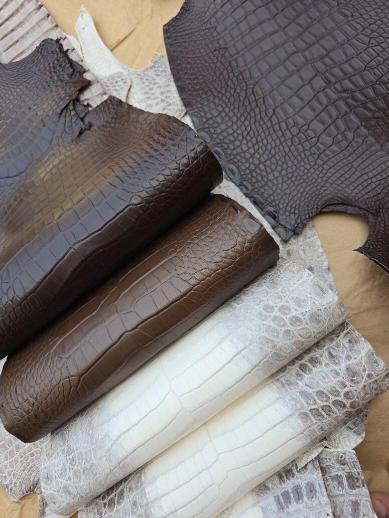 Alligator Leather Card Holder: The Ultimate Blend of Luxury and ...